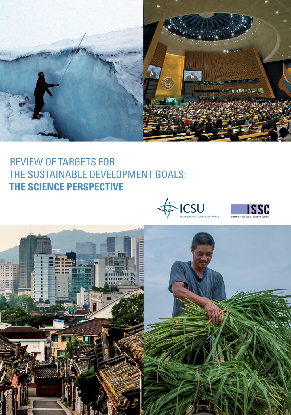 Review of Targets for the Sustainable Development Goals: The Science ...