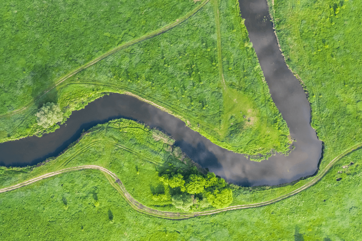 2024 National Champions in line for the Frontiers Planet Prize ...